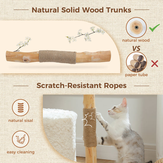ScratchingCactus MOYA – Scratching-Cactus