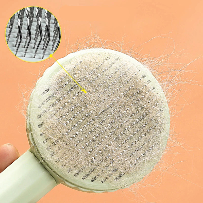 The Cactus Brush – Scratching-Cactus