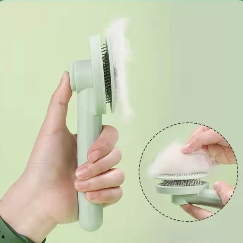 The Cactus Brush – Scratching-Cactus