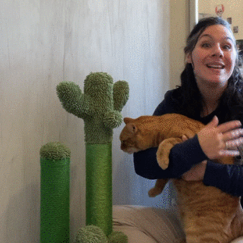 SCRATCHING CACTUS – Scratching-Cactus