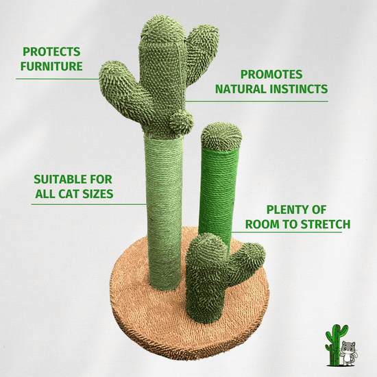 The Scratching Cactus – Scratching-Cactus